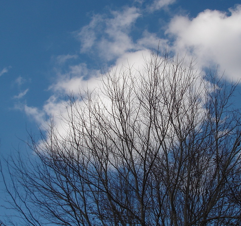 Grace for All Seasons – God's Grace ~ God's Glory!